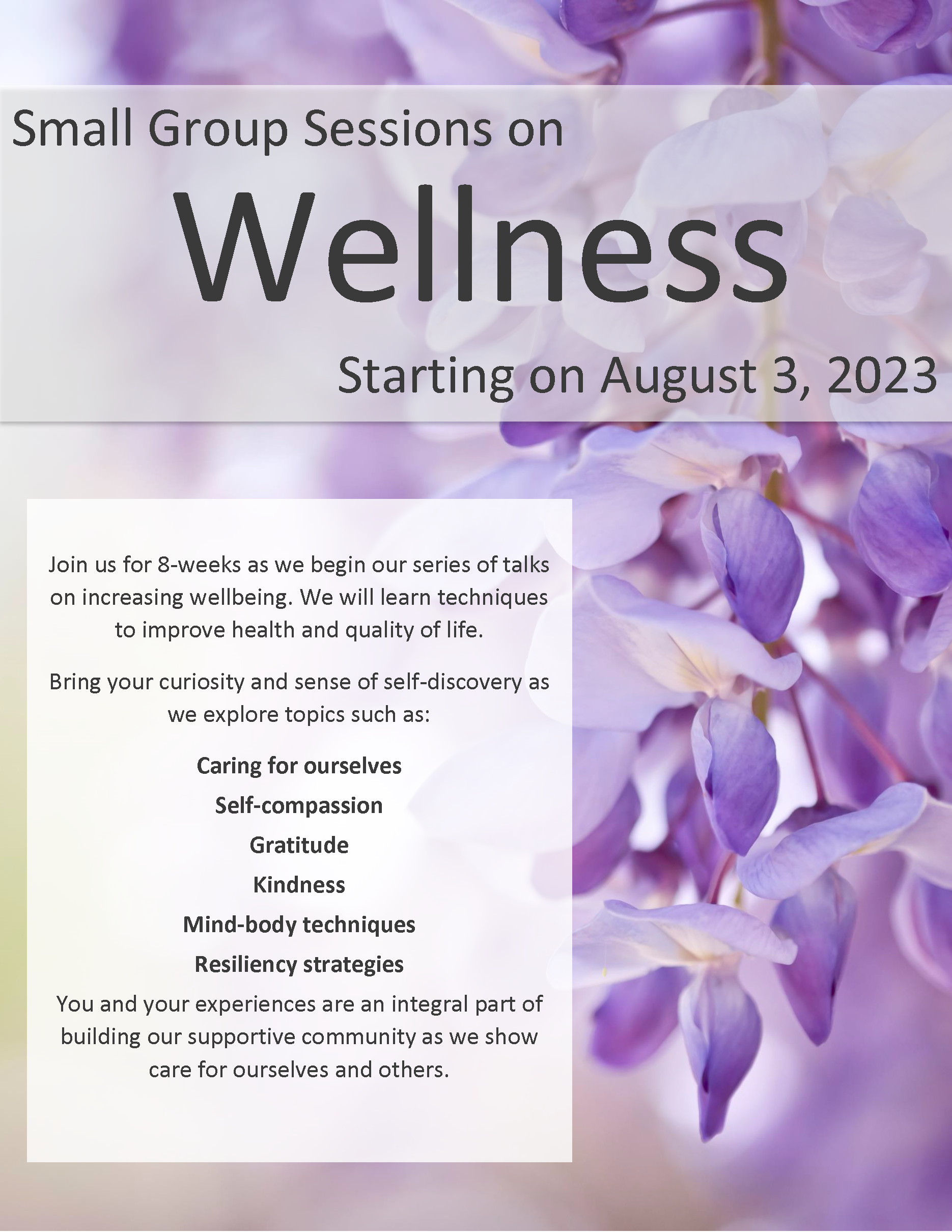 Wellness Groups – Vita Valens